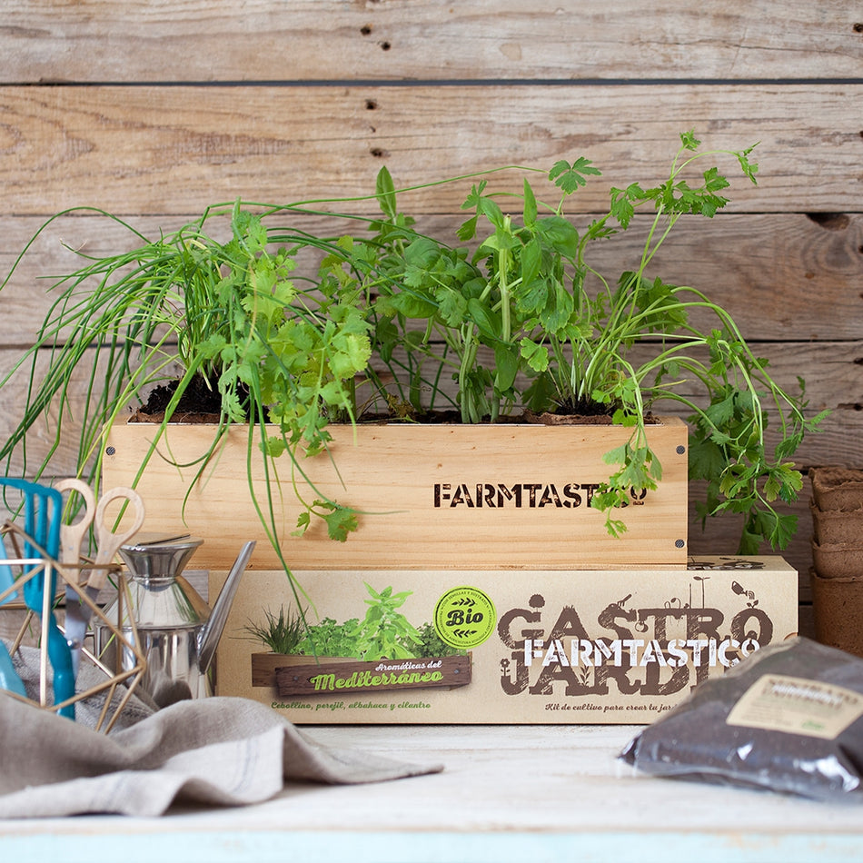Mediterranean Sowing Kit – REAL FABRICA